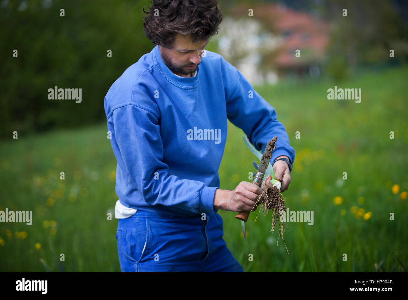 Farming Roots High Resolution Stock Photography and Images - Alamy