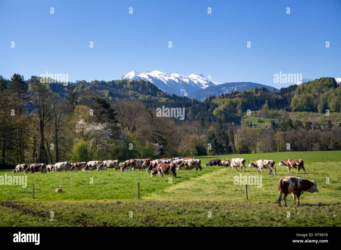 Community shared agriculture hi-res stock photography and images - Alamy