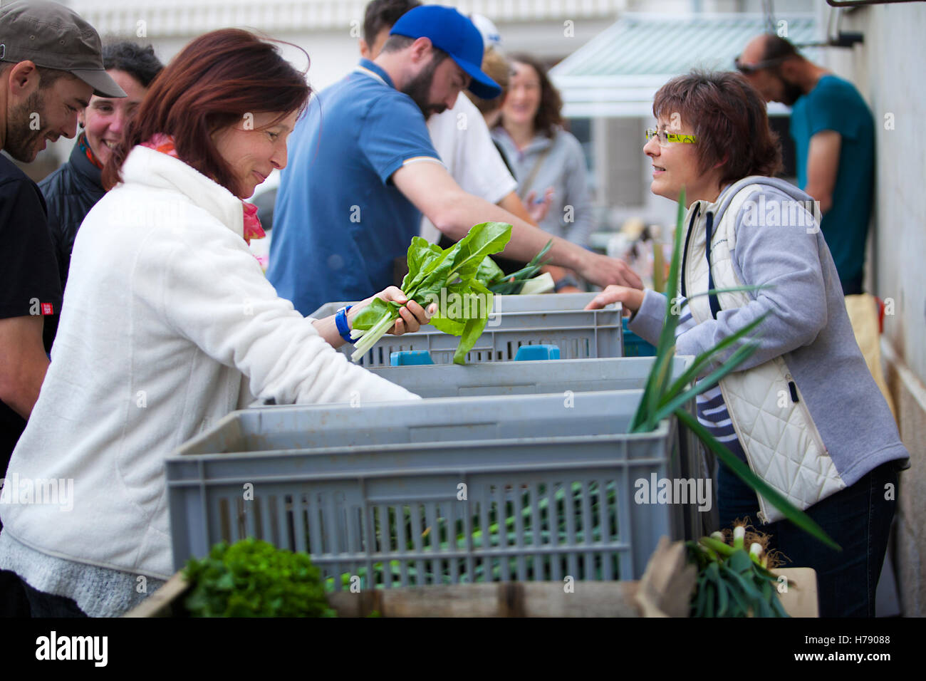 Group farming organic hi-res stock photography and images - Alamy