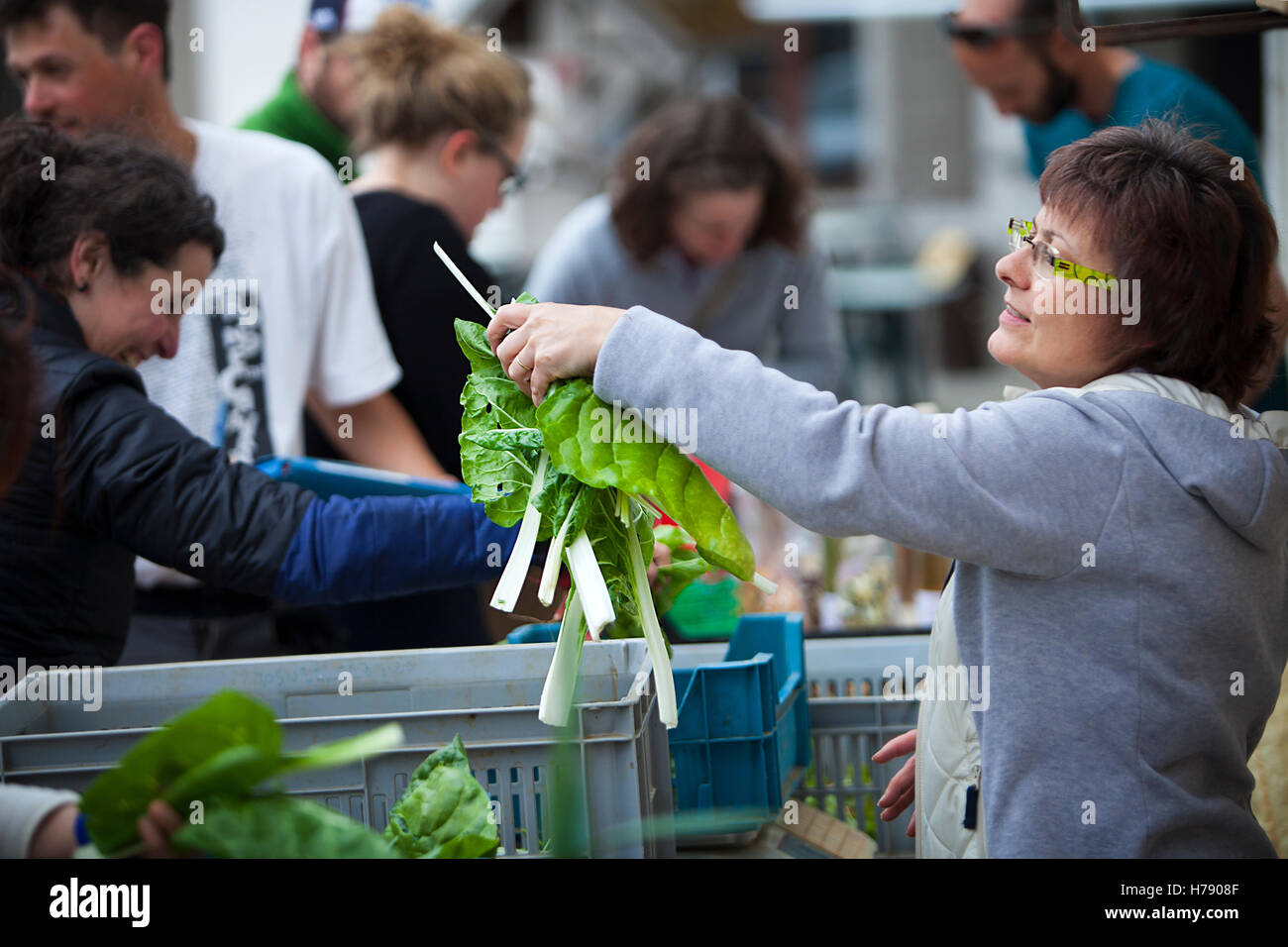 Group farming organic hi-res stock photography and images - Alamy