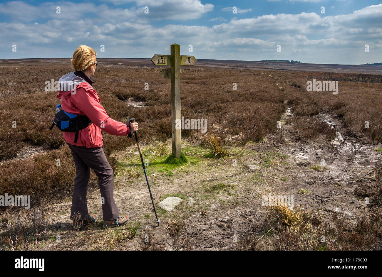 Footpath junction on Howl Moor near Wheeldale Stock Photo - Alamy