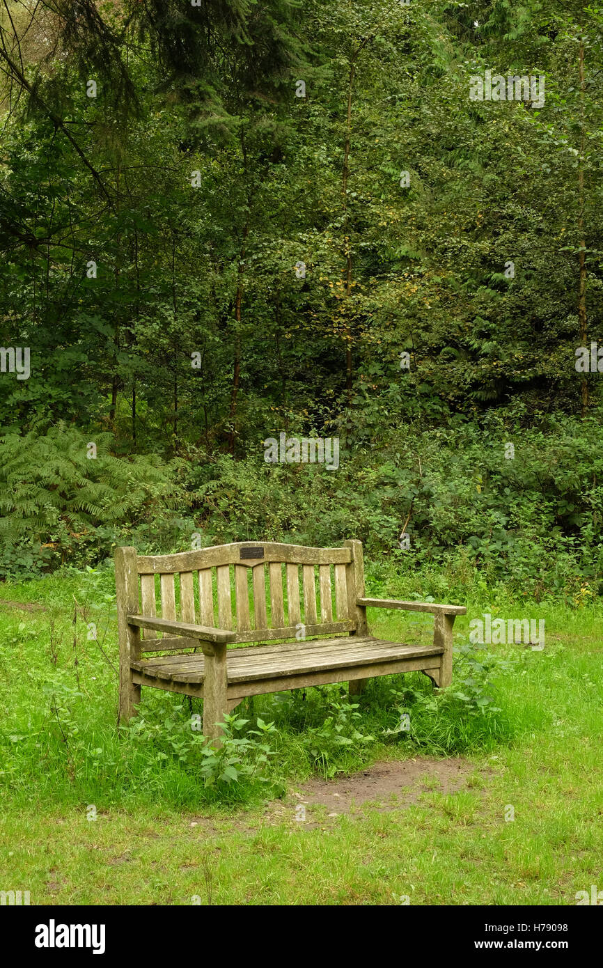 Bench clearing hi-res stock photography and images - Alamy