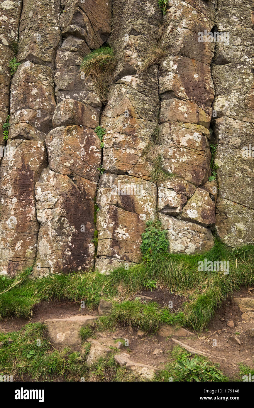 Giants Causeway on the north Antrim coast in Ulster, Ireland Stock ...