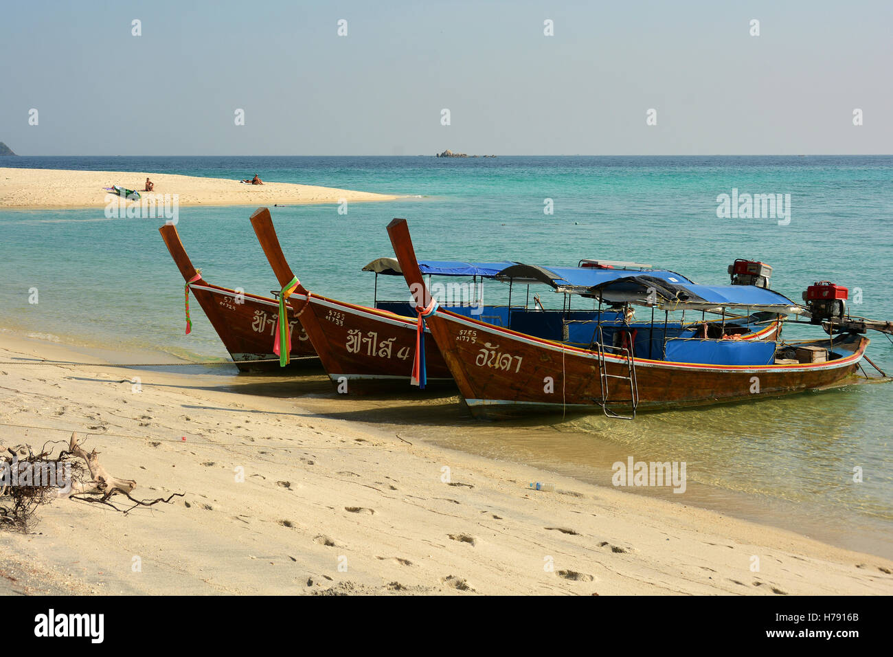 Exoticness hi-res stock photography and images - Alamy