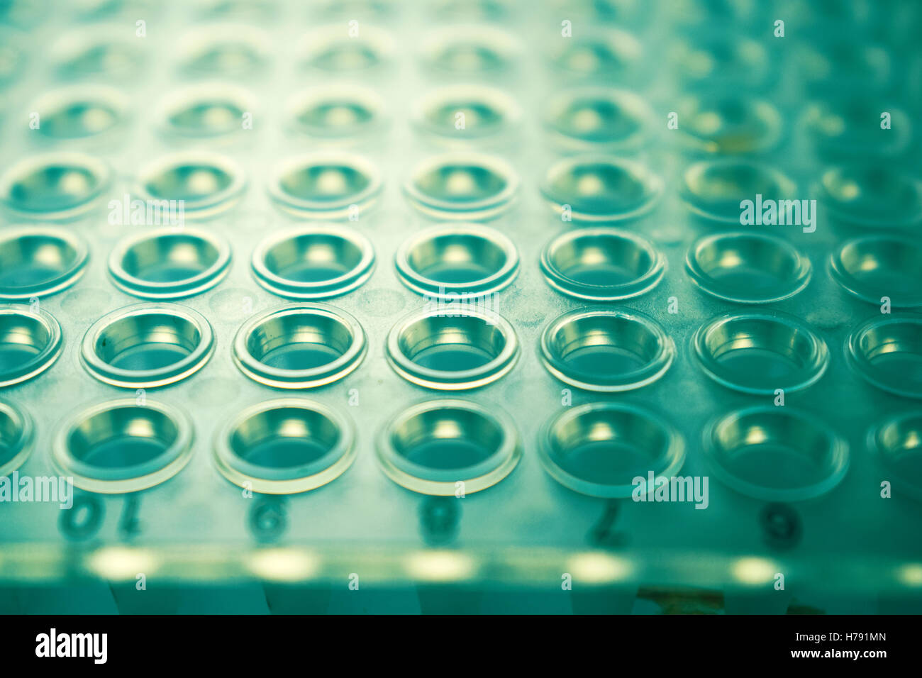 PCR Plate for laboratory experiments Stock Photo - Alamy