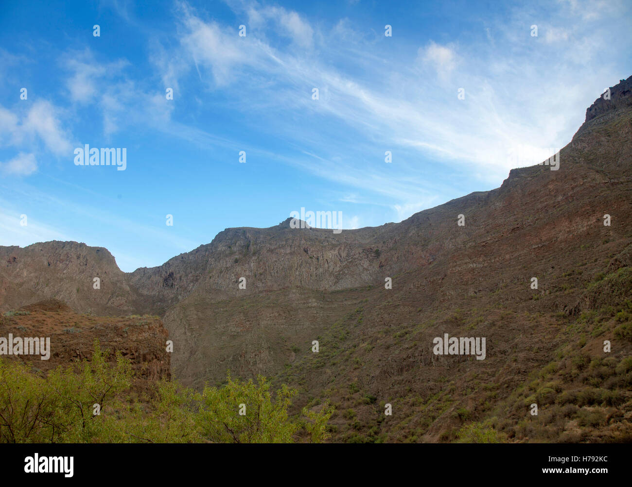 Gran Canaria, steep wall of Guayadeque ravine Stock Photo - Alamy