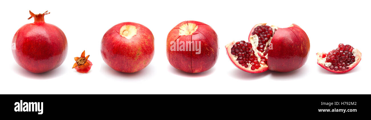 Segmenting fruit hi-res stock photography and images - Alamy
