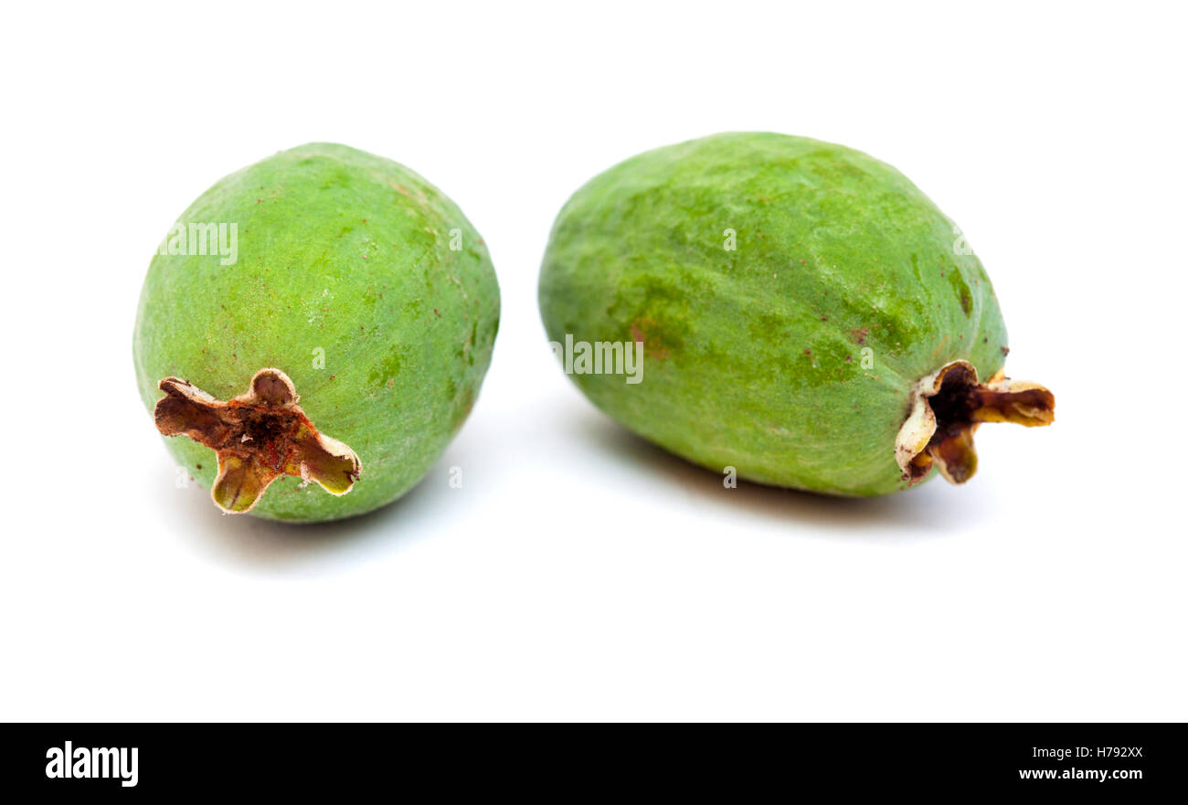 green feijoa fruit isolated on white background Stock Photo - Alamy