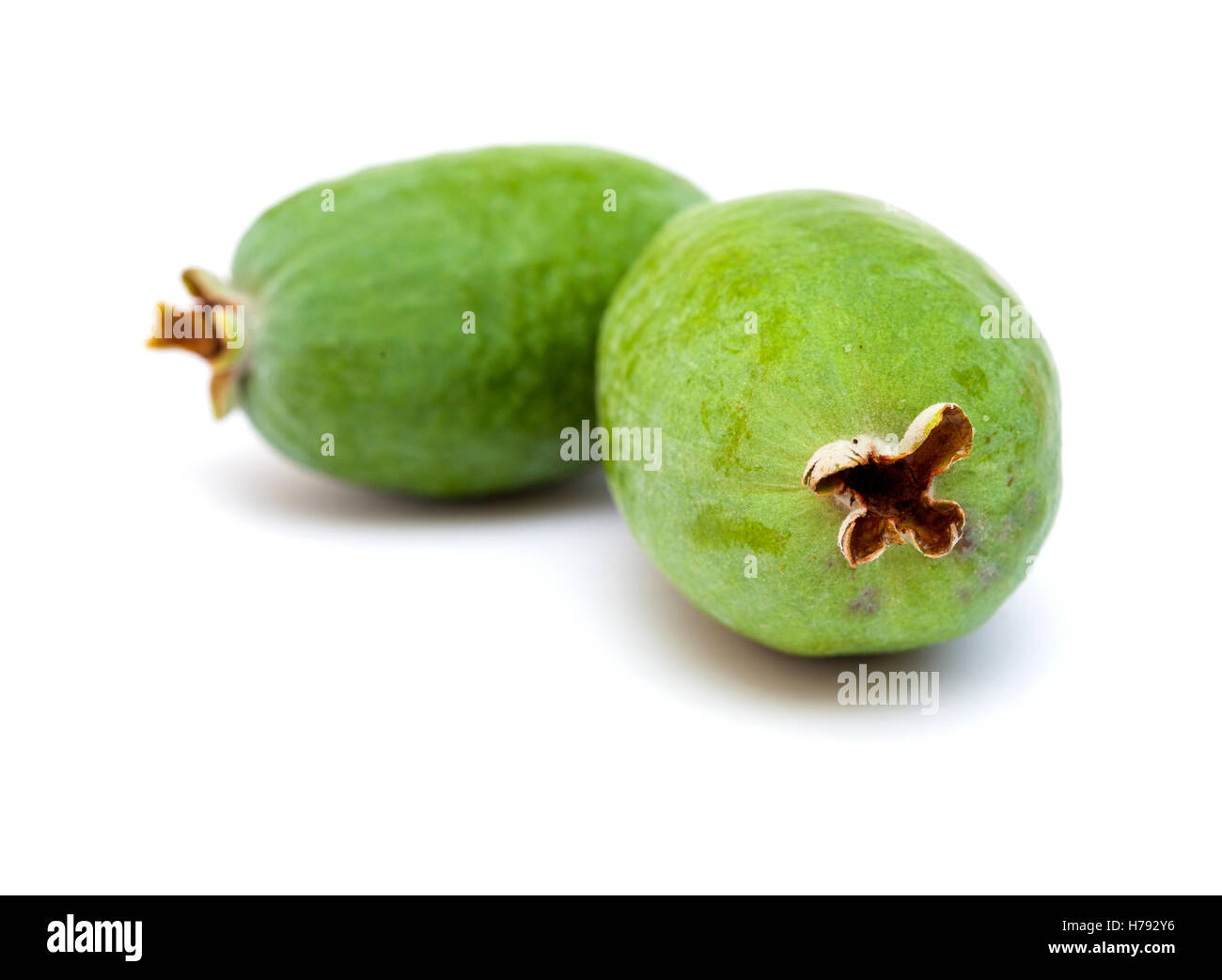 green feijoa fruit isolated on white background Stock Photo - Alamy