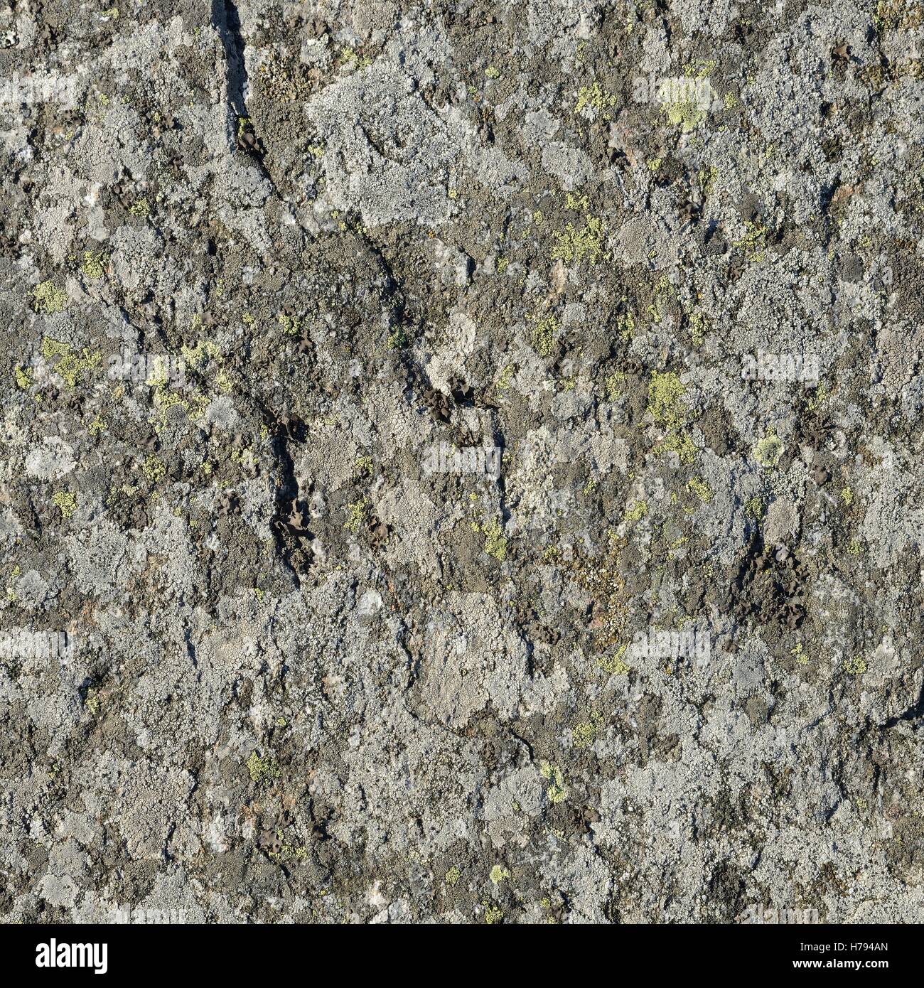 Texture stone mold Stock Photo - Alamy