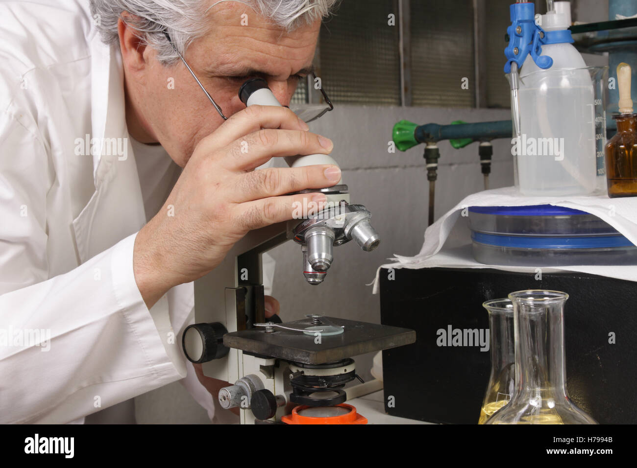 biologist at work in a laboratory Stock Photo - Alamy