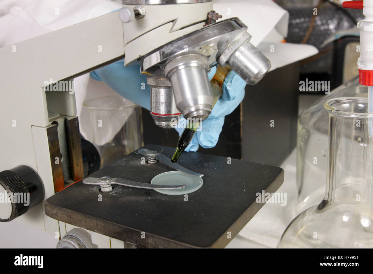 biologist at work in a laboratory Stock Photo - Alamy