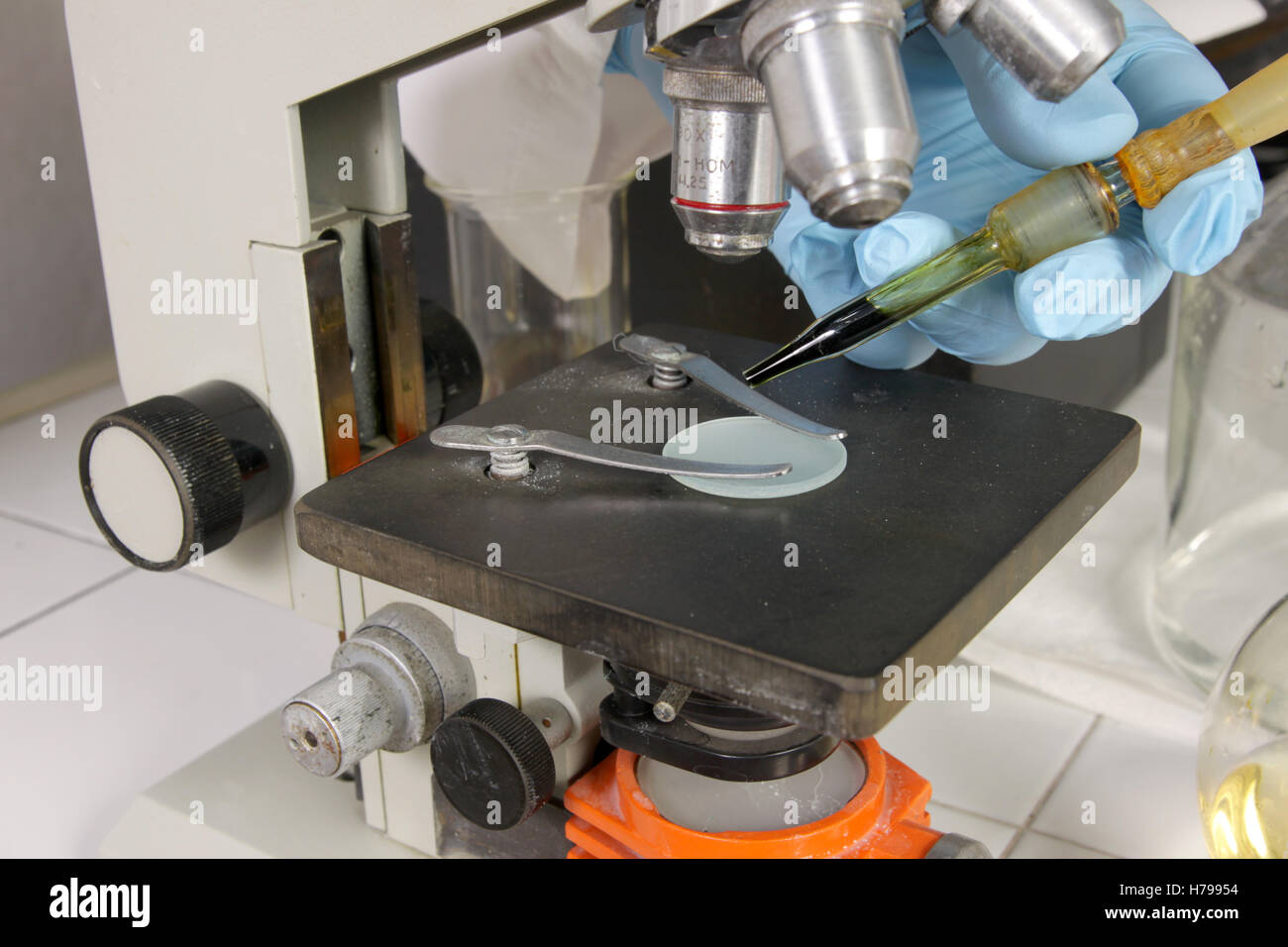 biologist at work in a laboratory Stock Photo - Alamy