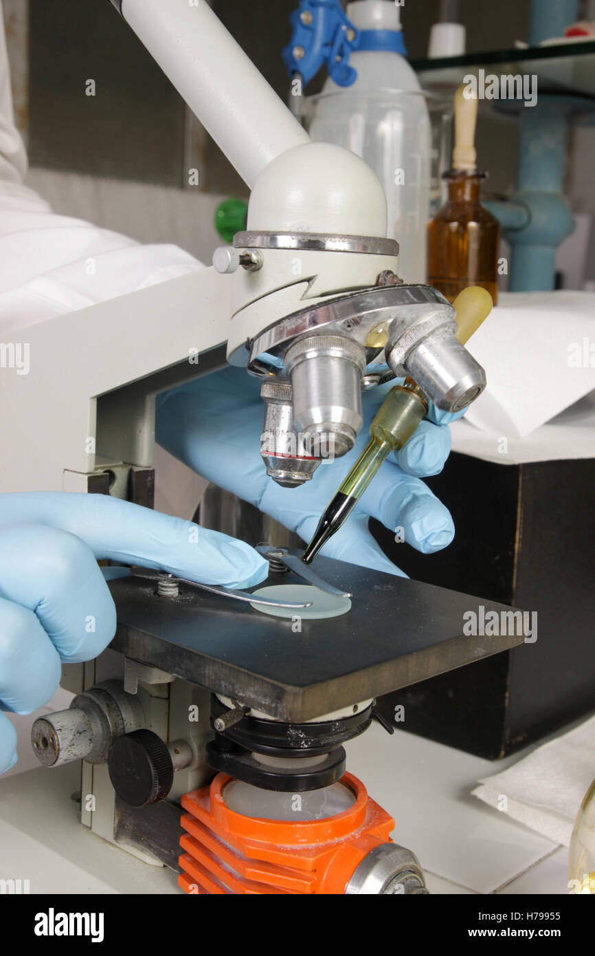 biologist at work in a laboratory Stock Photo - Alamy