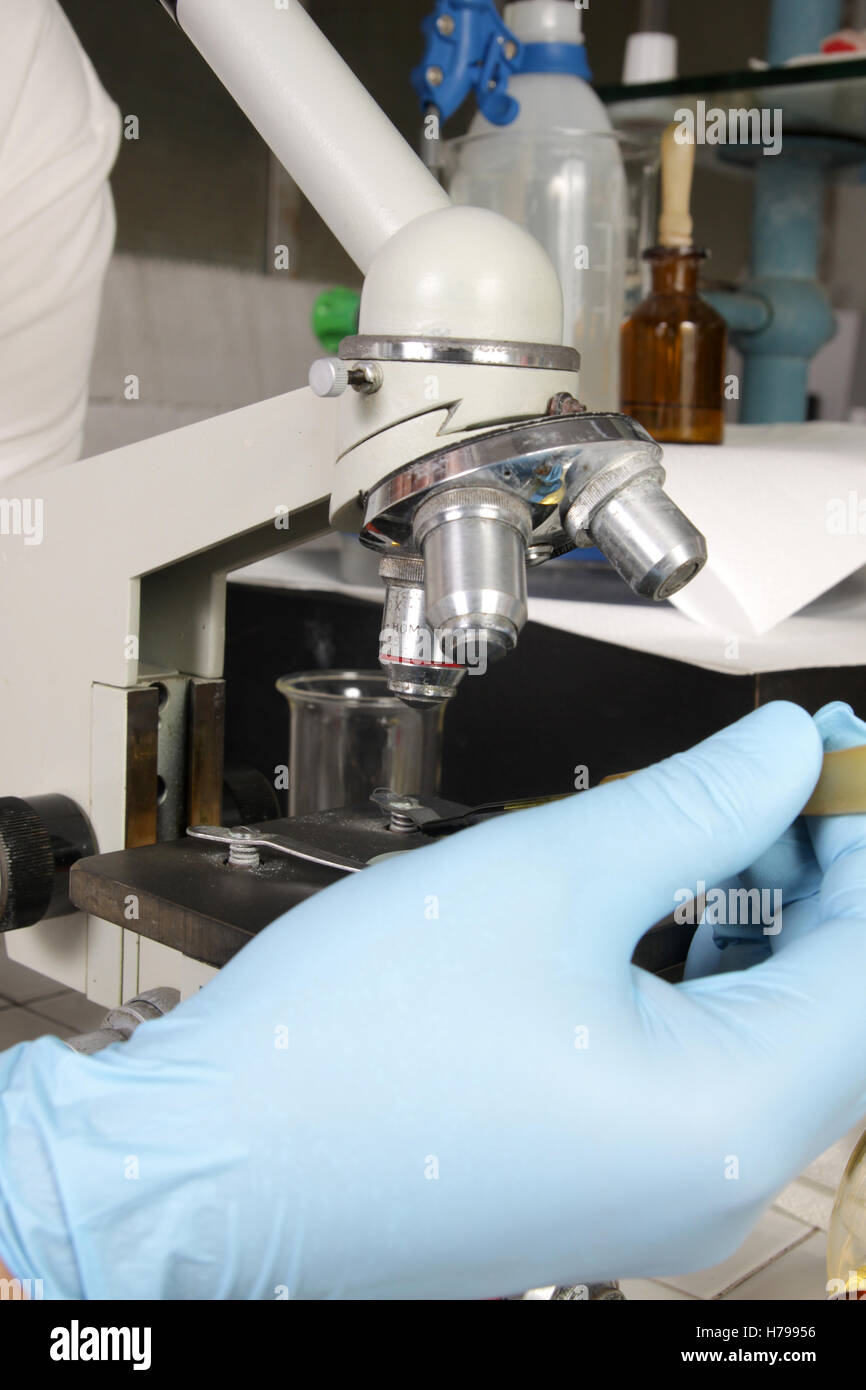 biologist at work in a laboratory Stock Photo - Alamy