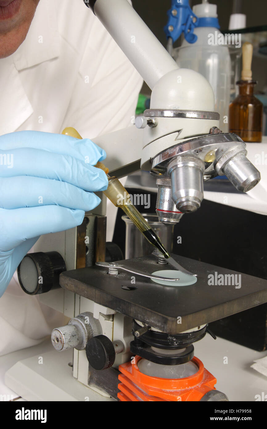 biologist at work in a laboratory Stock Photo - Alamy