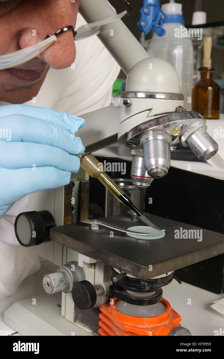 biologist at work in a laboratory Stock Photo - Alamy