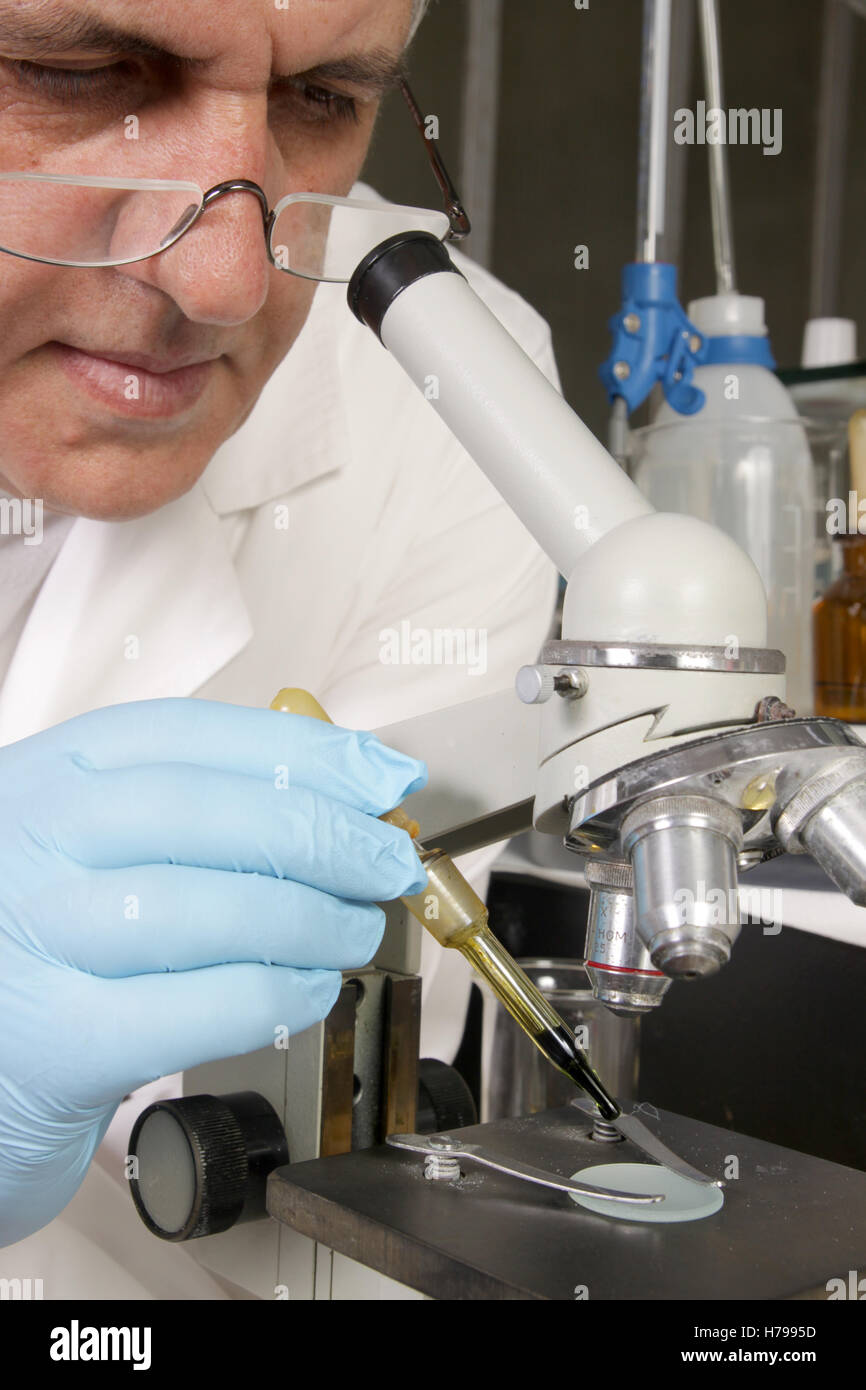 biologist at work in a laboratory Stock Photo - Alamy