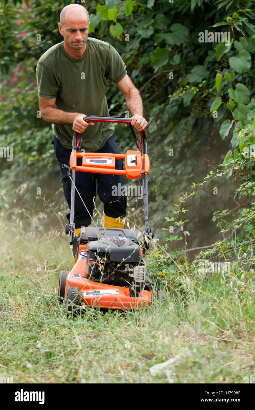 gardener cutting the grass with lawnmower Stock Photo - Alamy