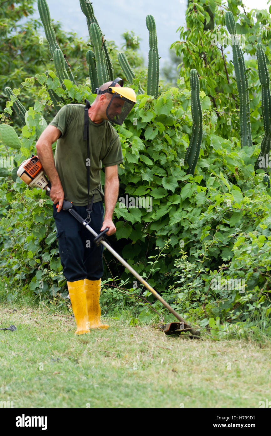 gardener cutting the grass in his garden Stock Photo - Alamy