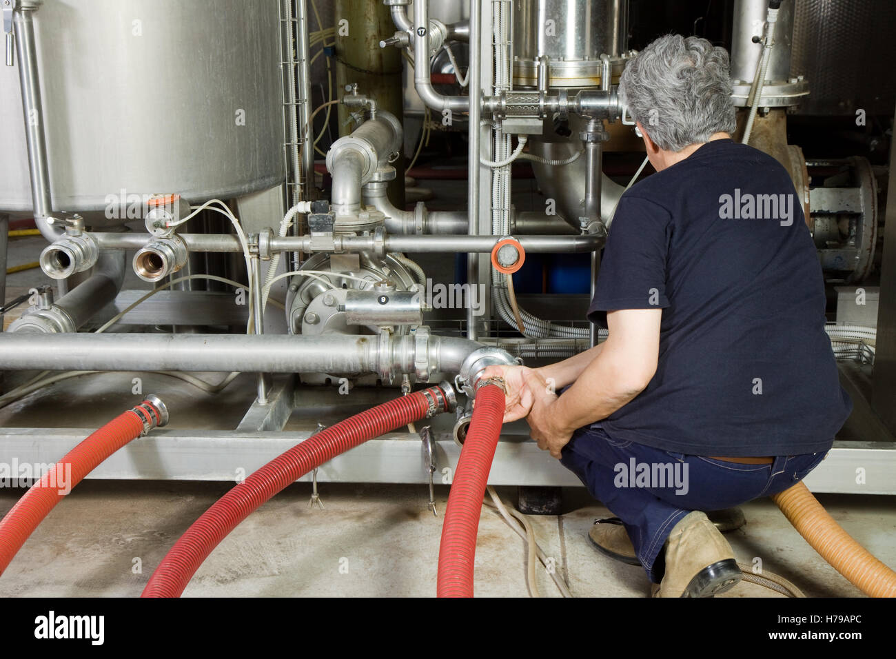 skilled worker fitting a pump plant in a industrial company Stock Photo ...