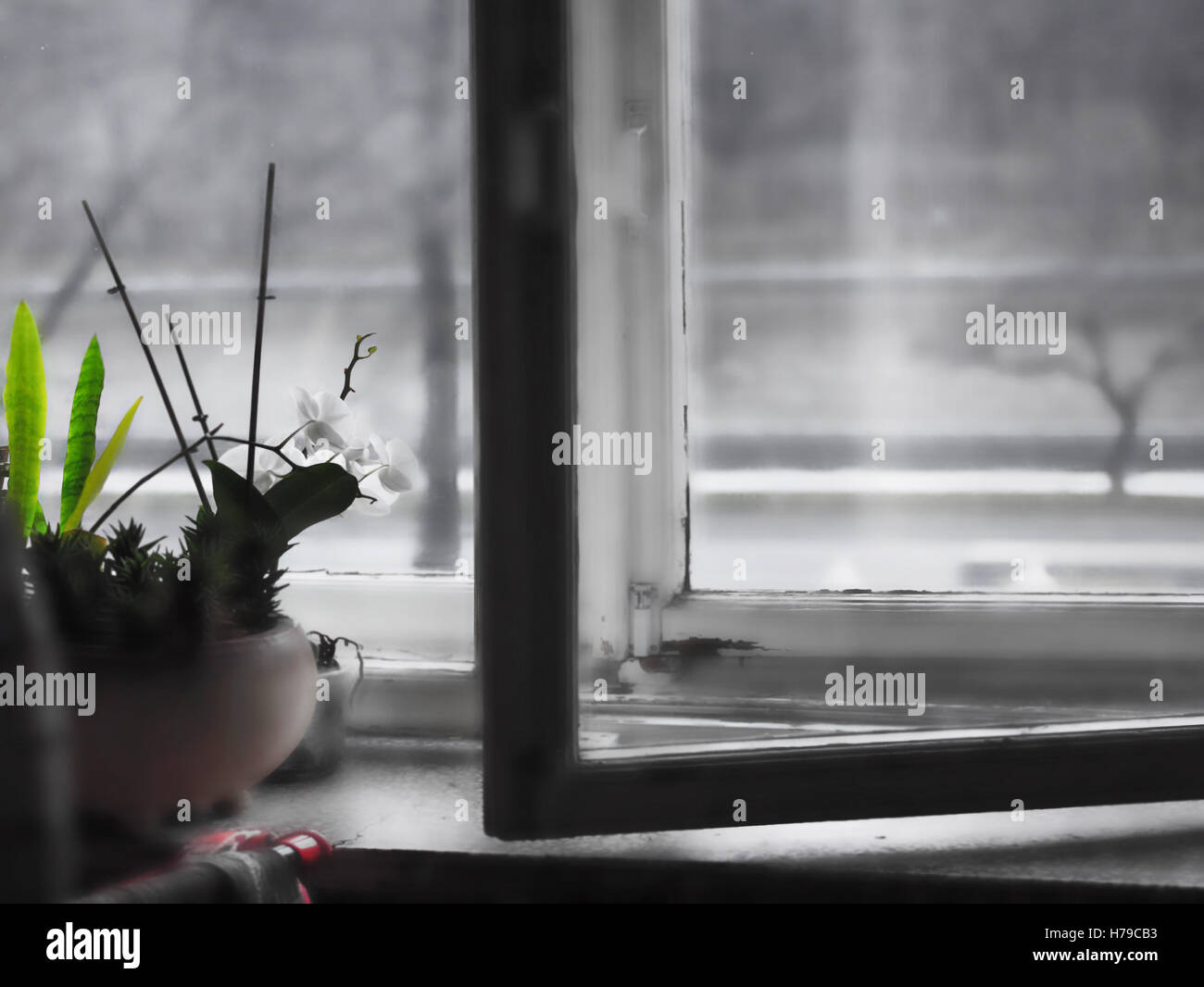 Open window in storm hi-res stock photography and images - Alamy