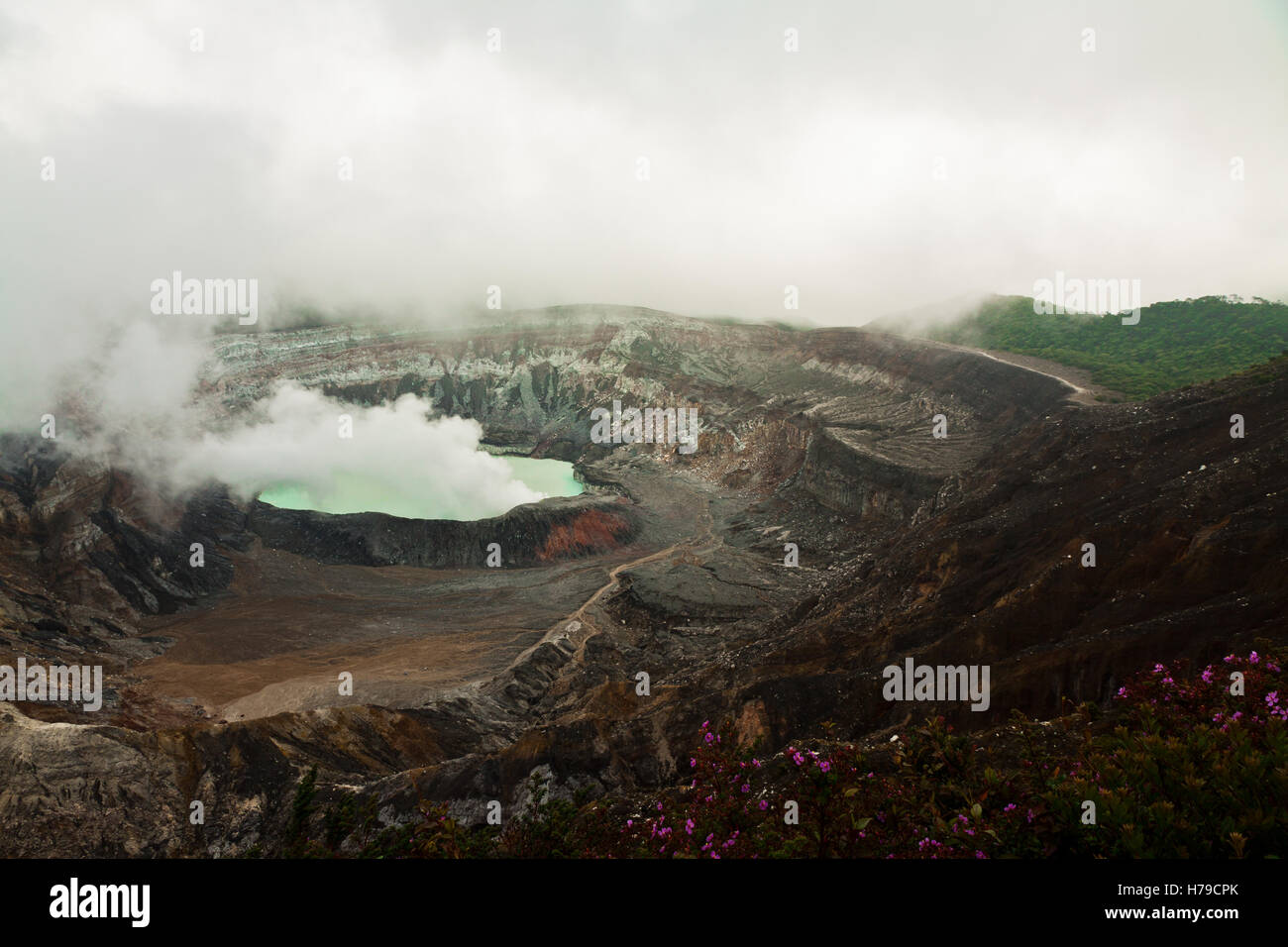 National Park Volcano Poas in Costa Rica Stock Photo - Alamy