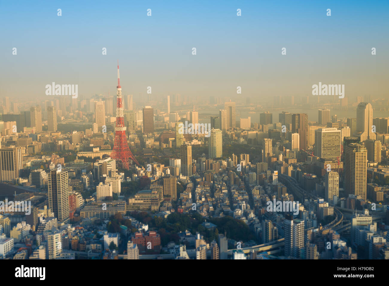 Cityscape of Tokyo city with the red and white Tokyo Tower rising over ...