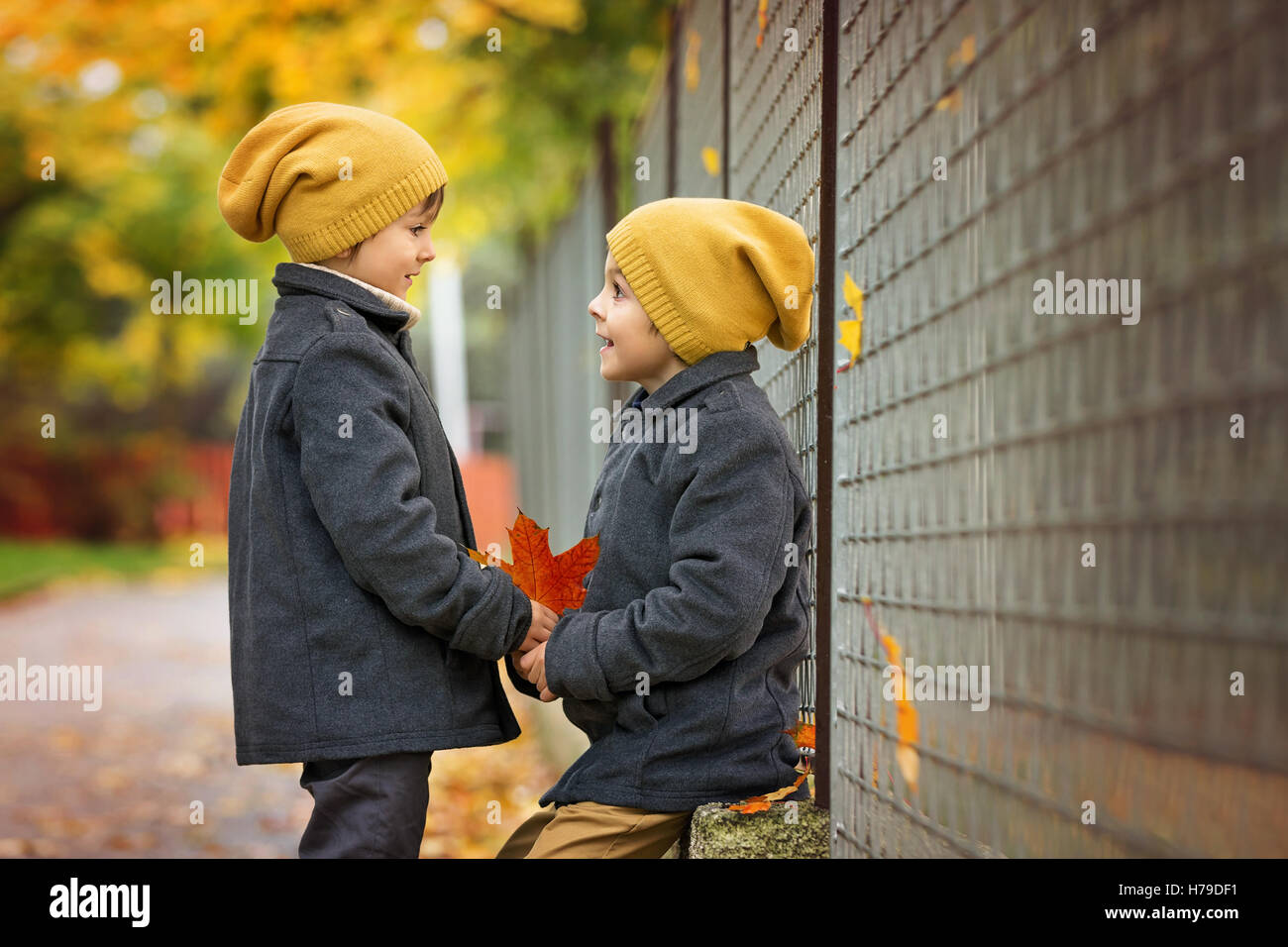 Two beautiful children, brothers, holding hands and talking in the park ...