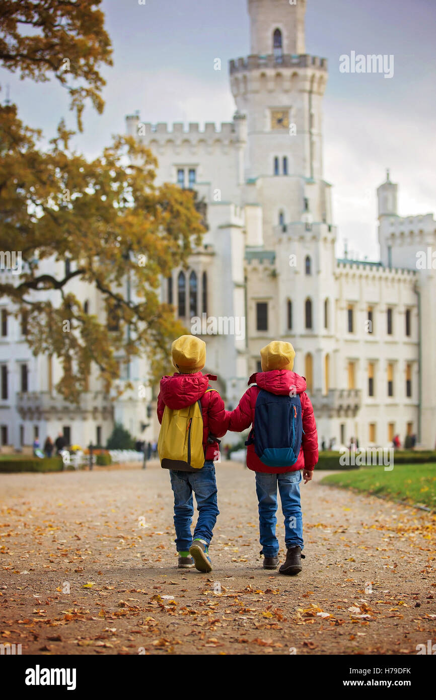 Two beautiful children, boy brothers, walking on a path in beautiful ...