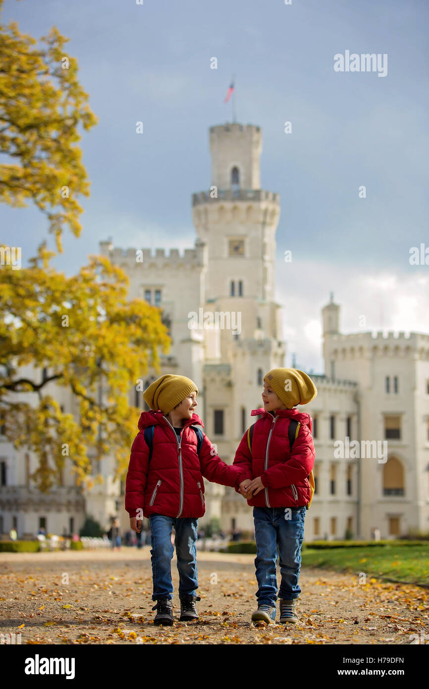 Two beautiful children, boy brothers, walking on a path in beautiful ...