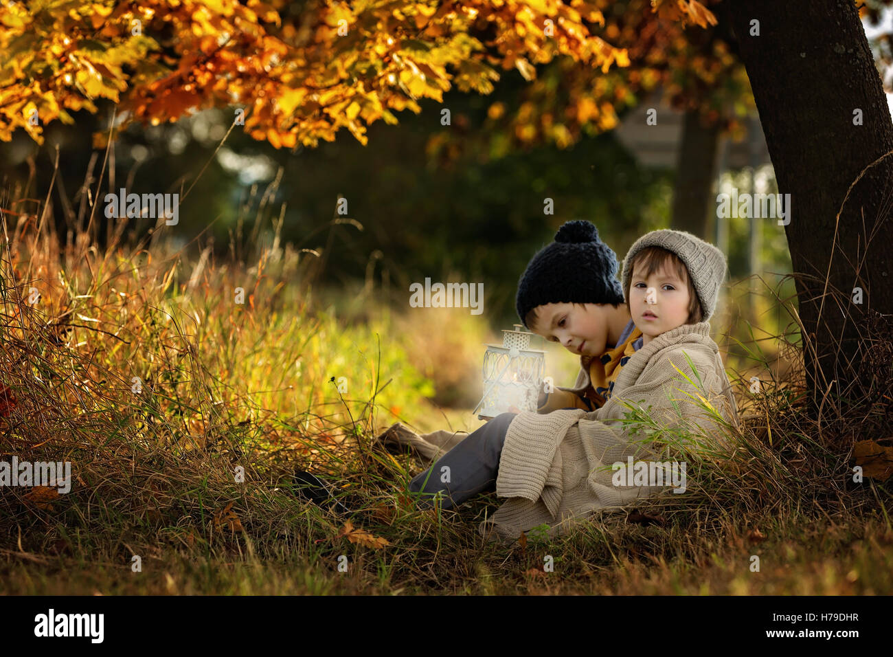 Portrait of two boys sitting on a tree hi-res stock photography and ...