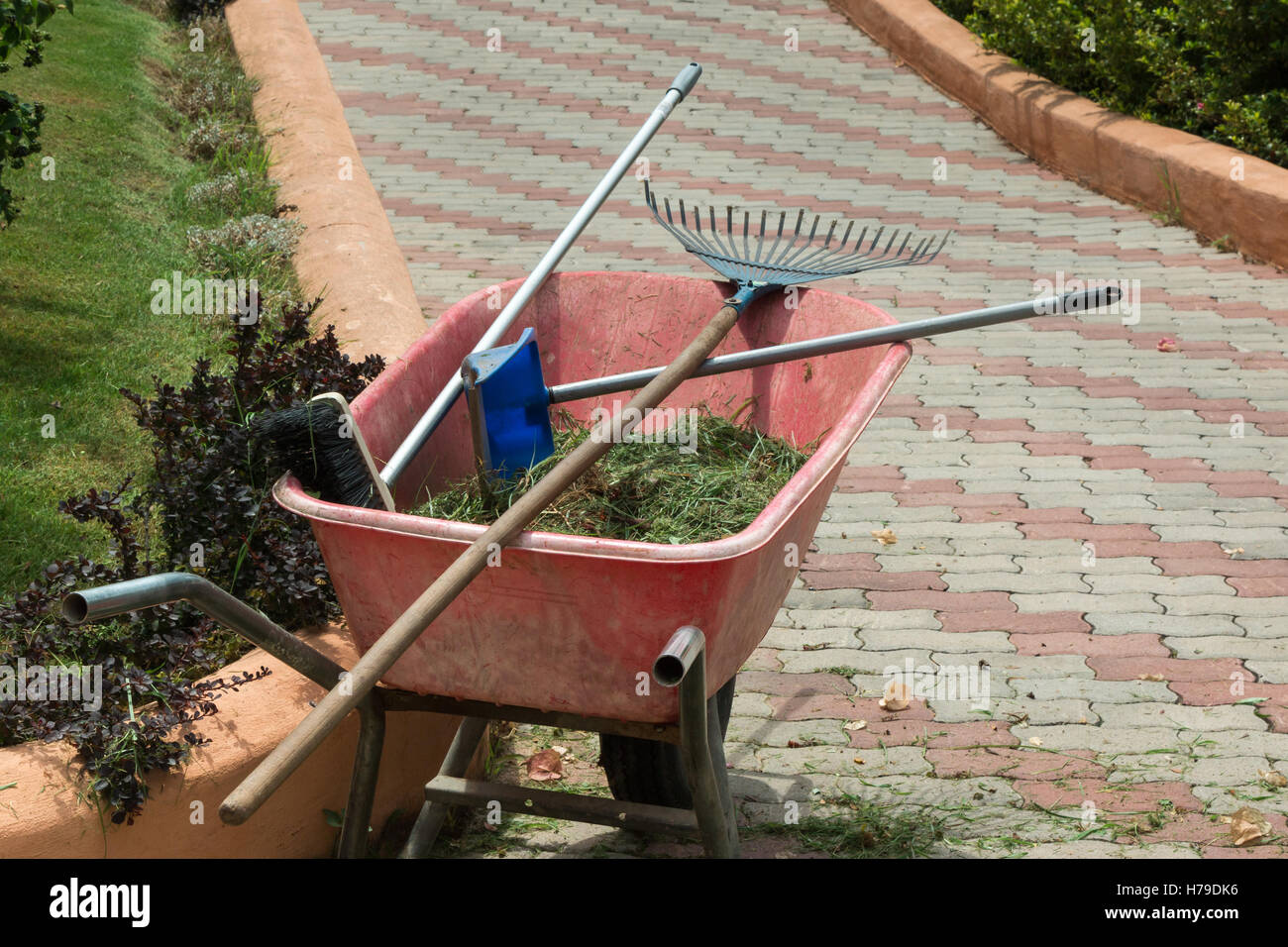 Red wheelbarrow rake broom grass hi-res stock photography and images ...
