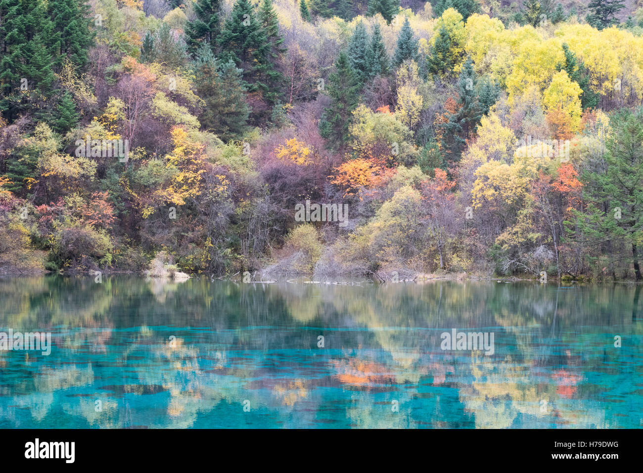 Jiuzhaigou Valley National Park High Resolution Stock Photography and ...