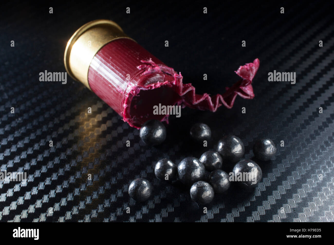 Large pellets that are spilling from a twelve gauge shotshell Stock ...