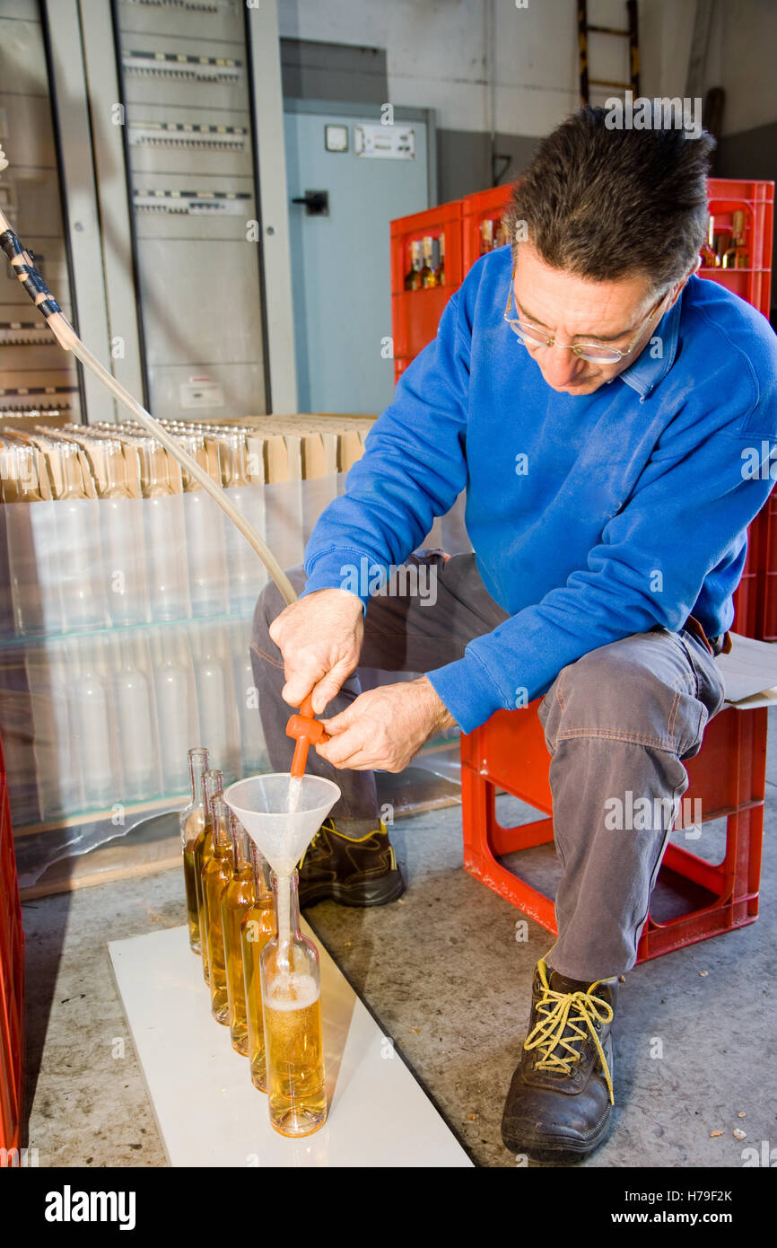 hand bottling of wine in a traditional way Stock Photo - Alamy