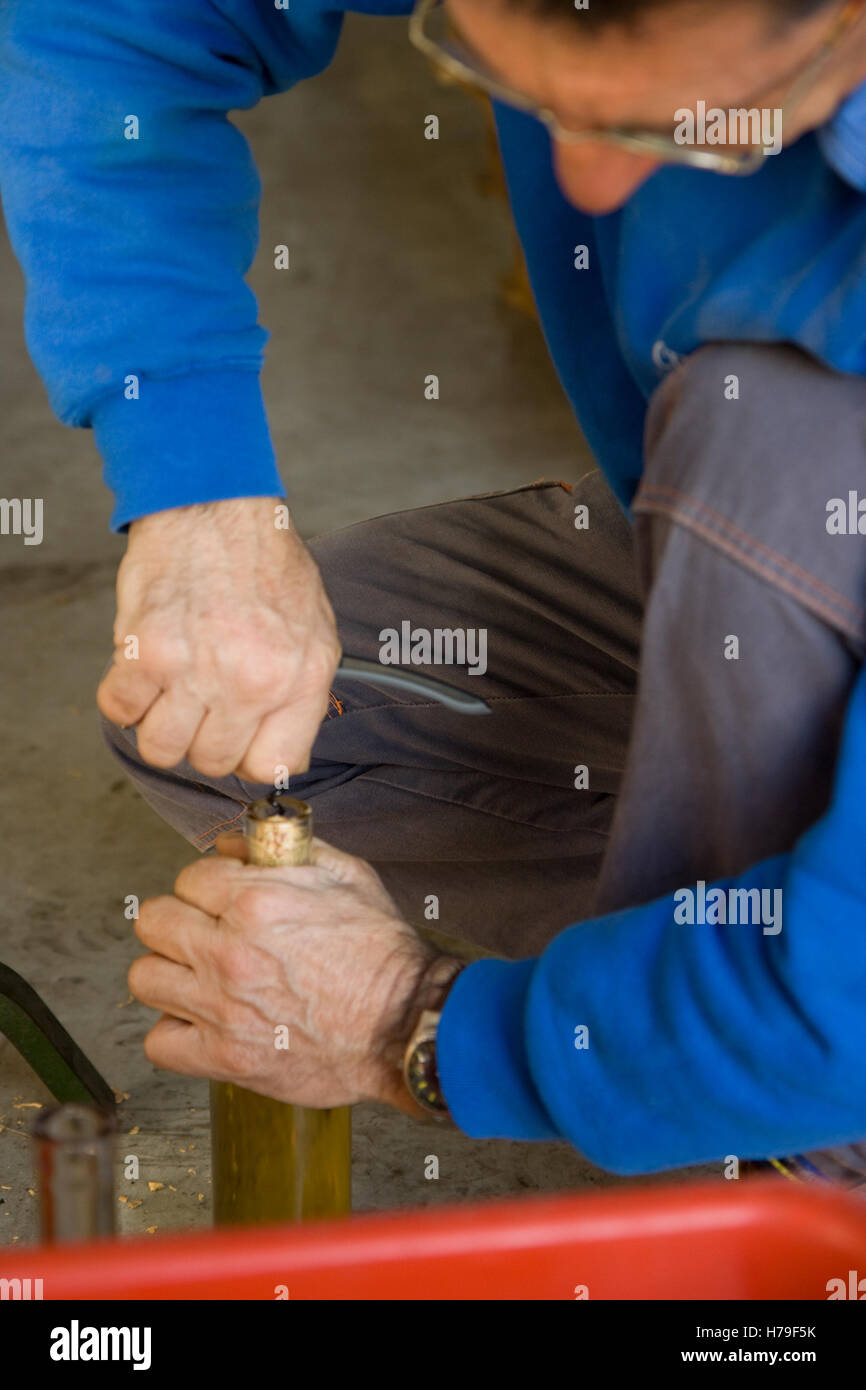 hand bottling of wine in a traditional way Stock Photo - Alamy