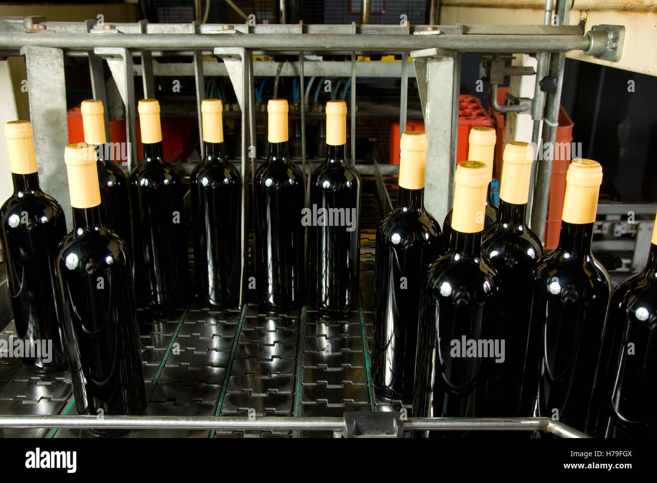 bottling line in a wine company Stock Photo - Alamy