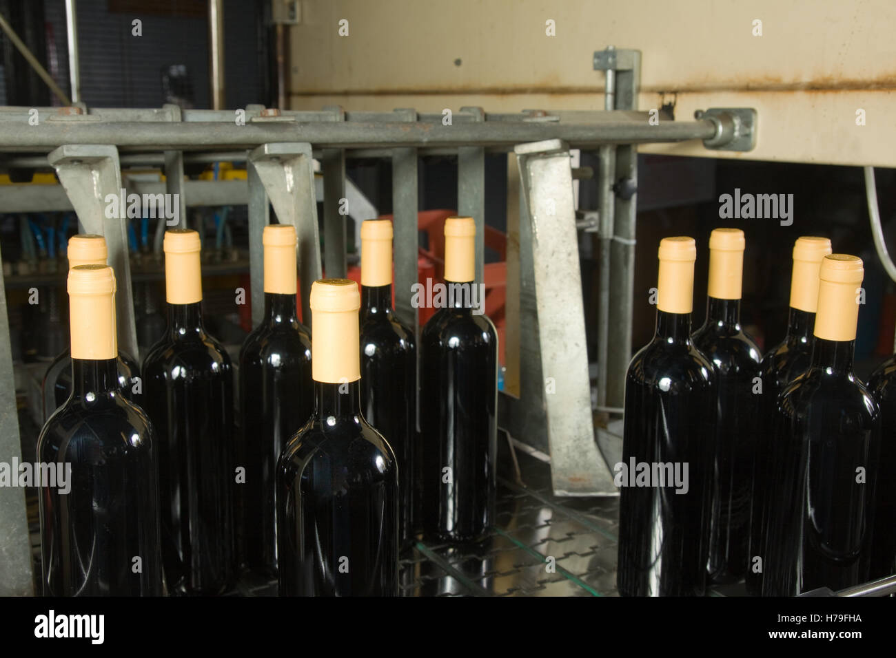 bottling line in a wine company Stock Photo - Alamy