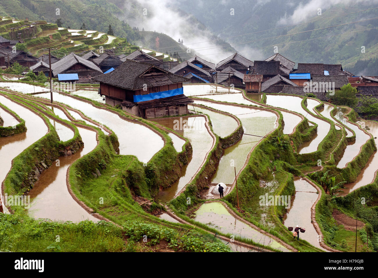 The village of Jiabang, over the extended valley of rice terraces ...