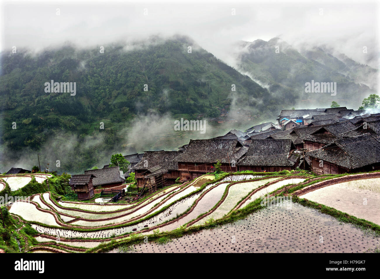The village of Jiabang, over the foggy extended valley of rice terraces ...
