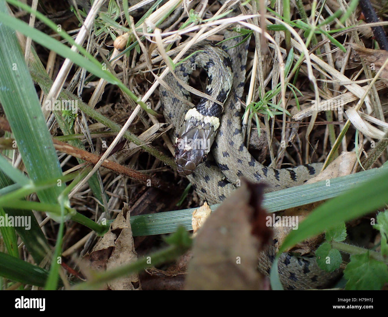 Eye Damage High Resolution Stock Photography and Images - Alamy