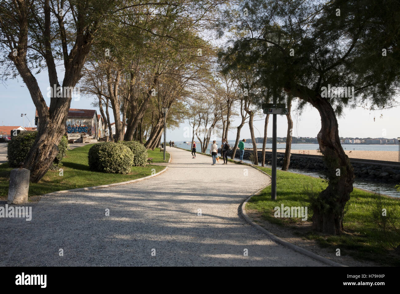 Clean pathway hi-res stock photography and images - Alamy