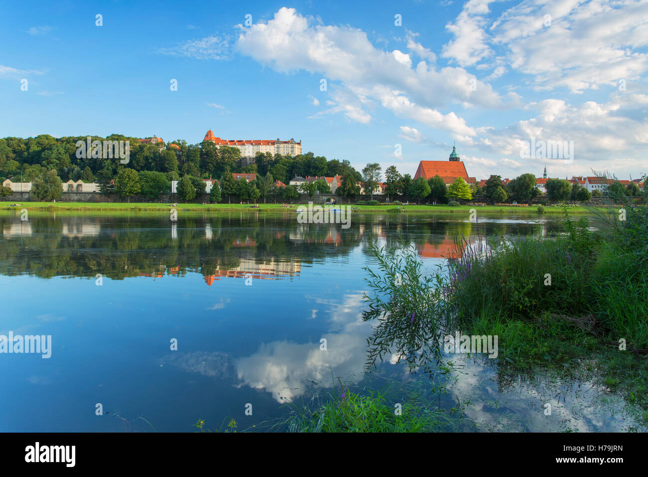 View of River Elbe and Sonnenstein Castle, Pirna, Saxony, Germany Stock ...