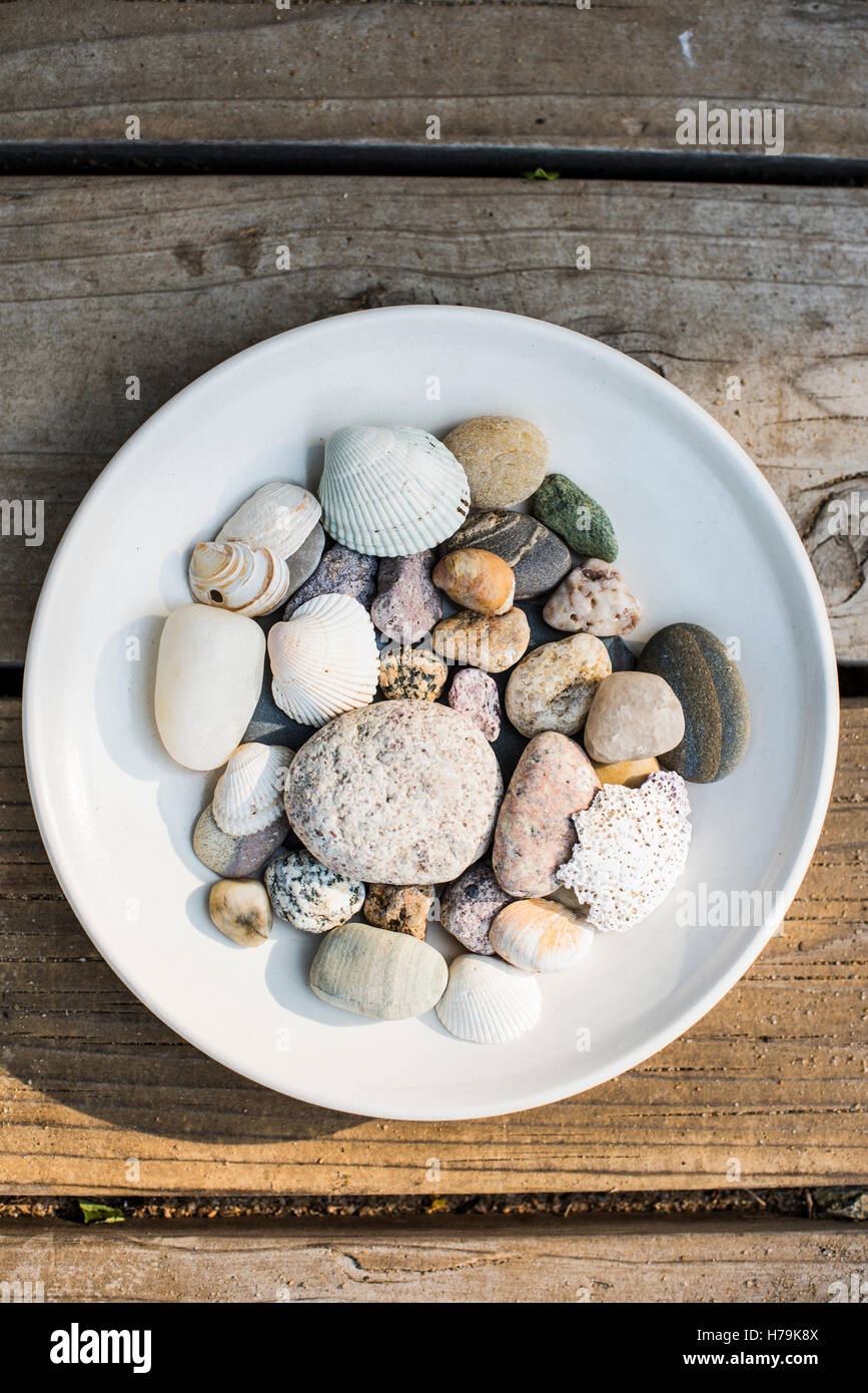 Stones and shells collected from the seashore Stock Photo - Alamy