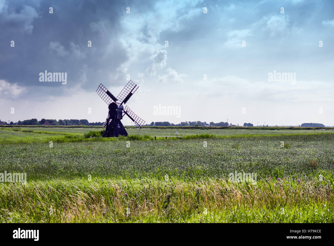 Dutch field hi-res stock photography and images - Alamy