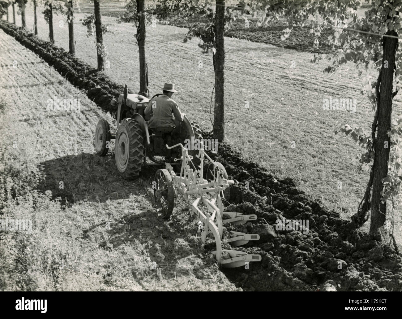 Italy 1960s farmer hi-res stock photography and images - Alamy