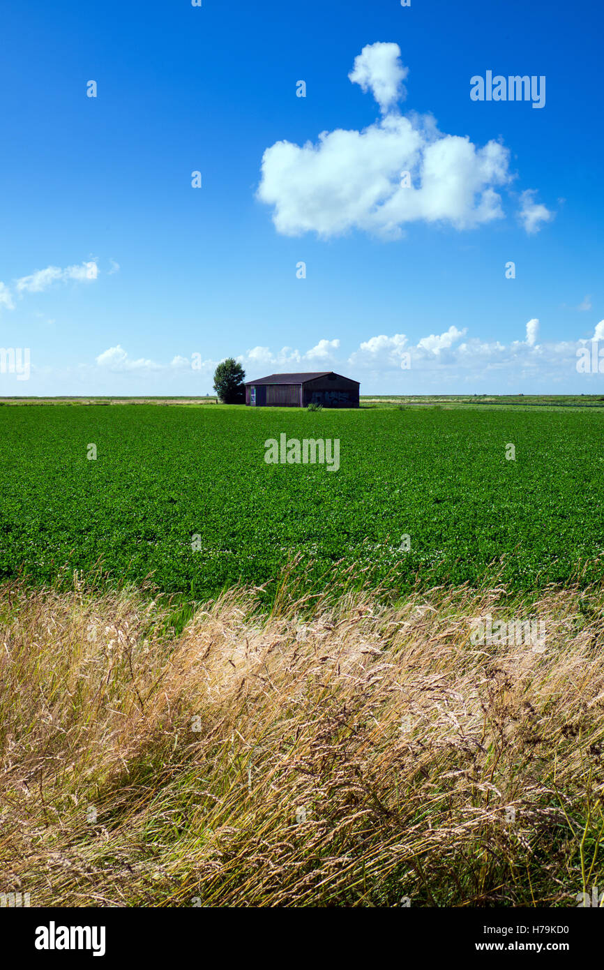 Farm in a field Stock Photo - Alamy