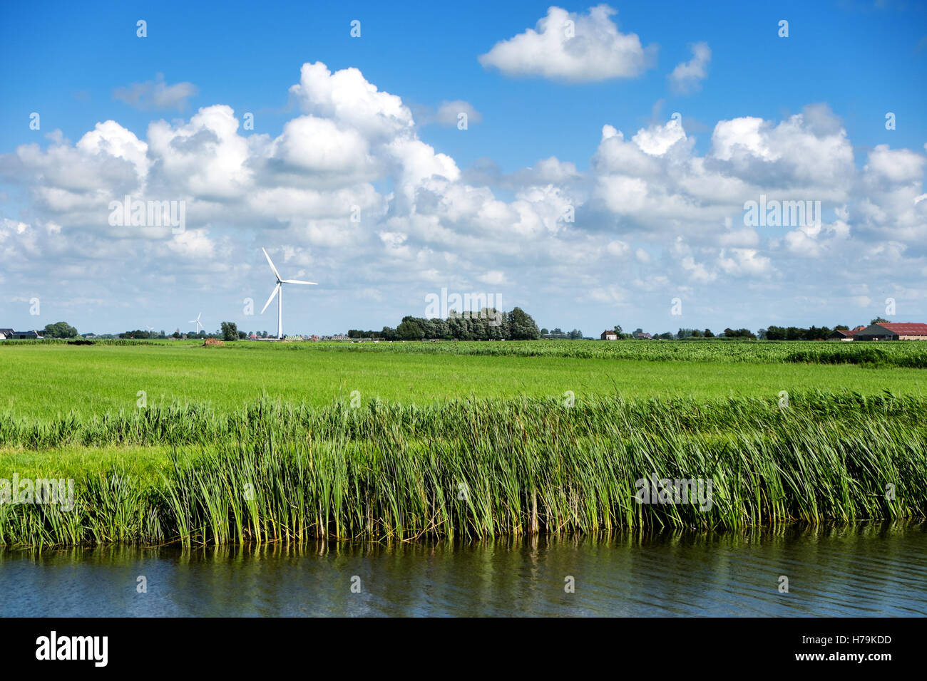 Rural dutch landscape hi-res stock photography and images - Alamy