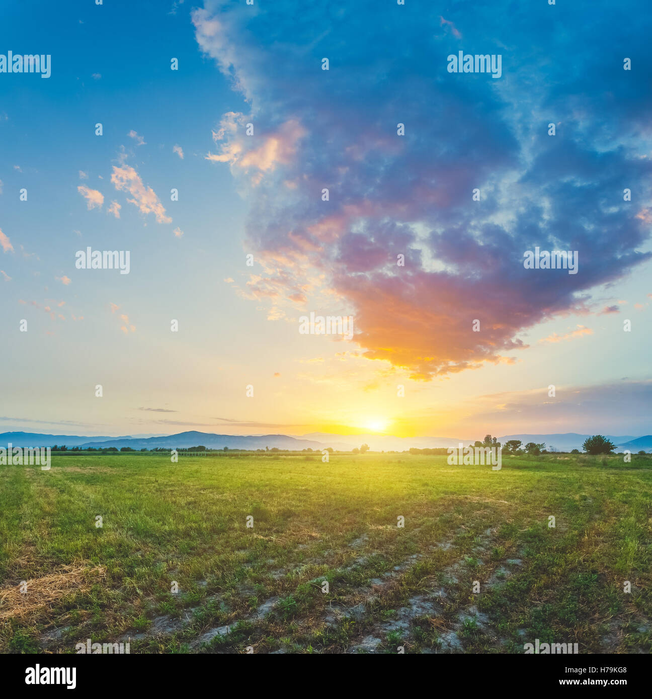 Meadow with beautiful sunset sky Stock Photo - Alamy